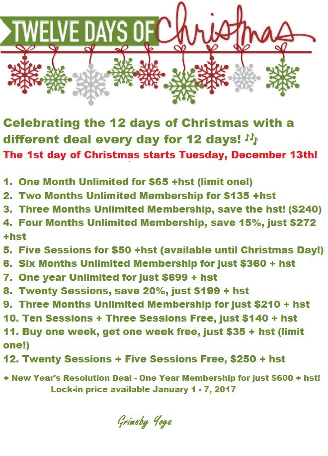 The 12 Days of Christmas Sale is on now! A new membership or session ...